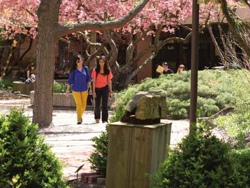 Oakton College: Connect to Degrees and Certificates